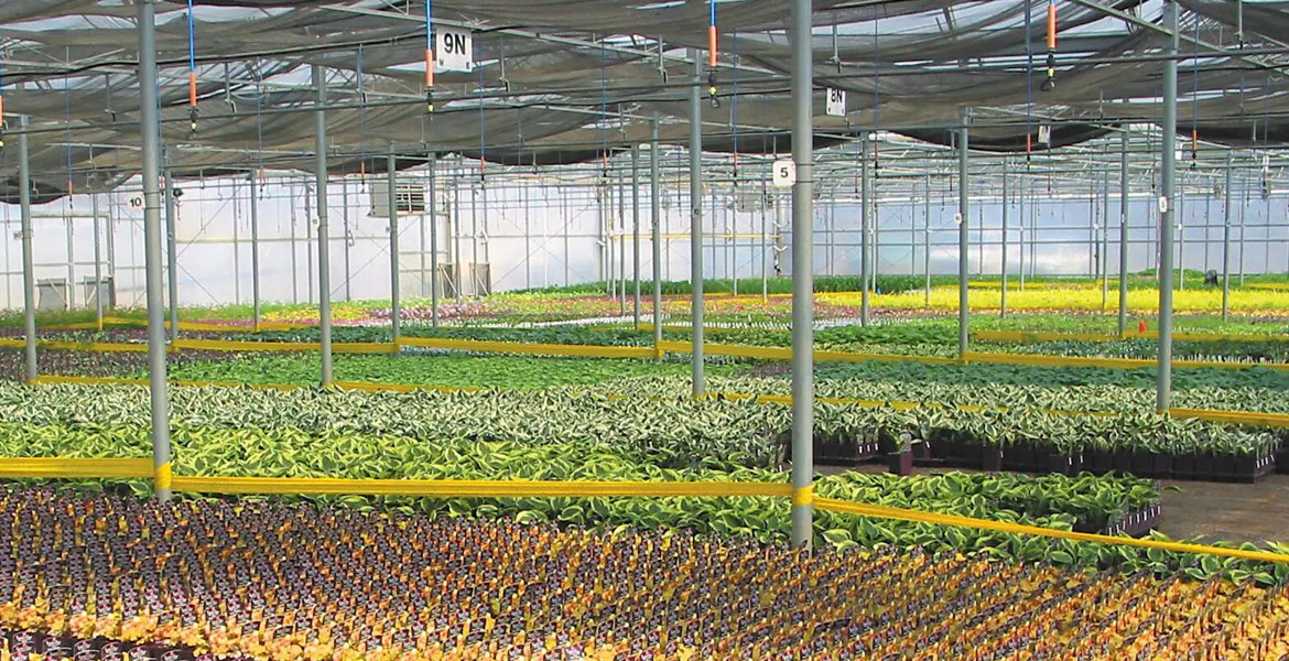 Our Farms - Sheridan Nurseries