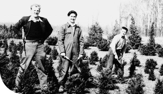 Company History - Sheridan Nurseries