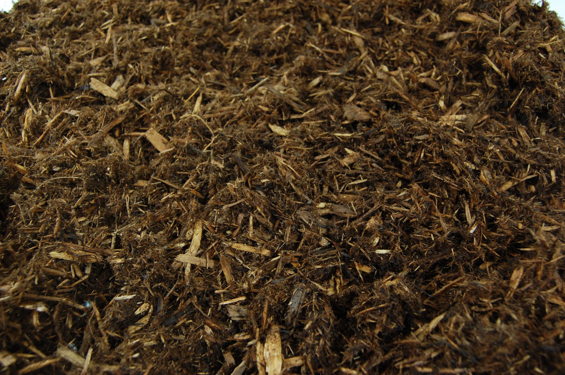 Mulching 101 - Sheridan Nurseries