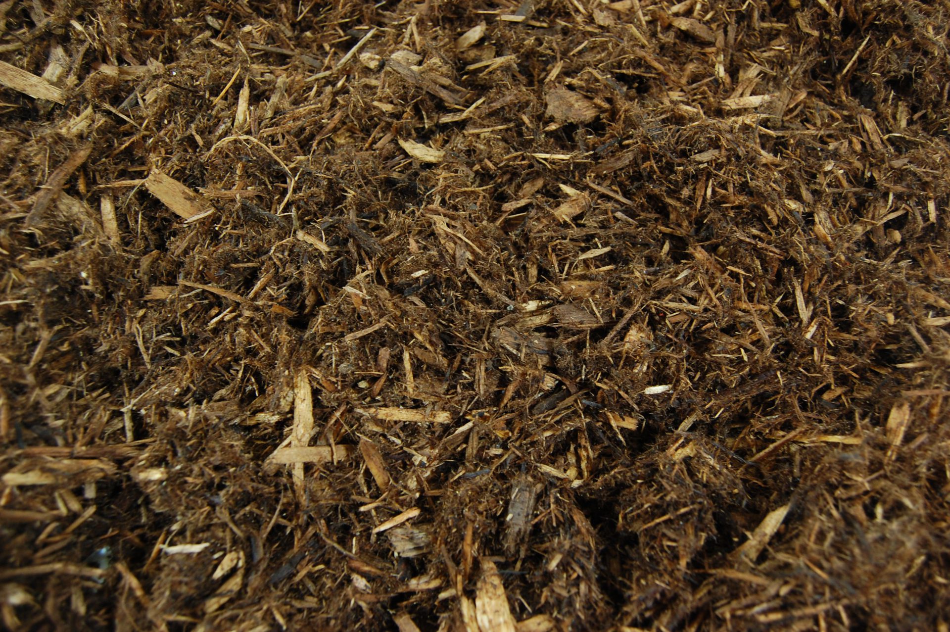 Mulching 101 - Sheridan Nurseries