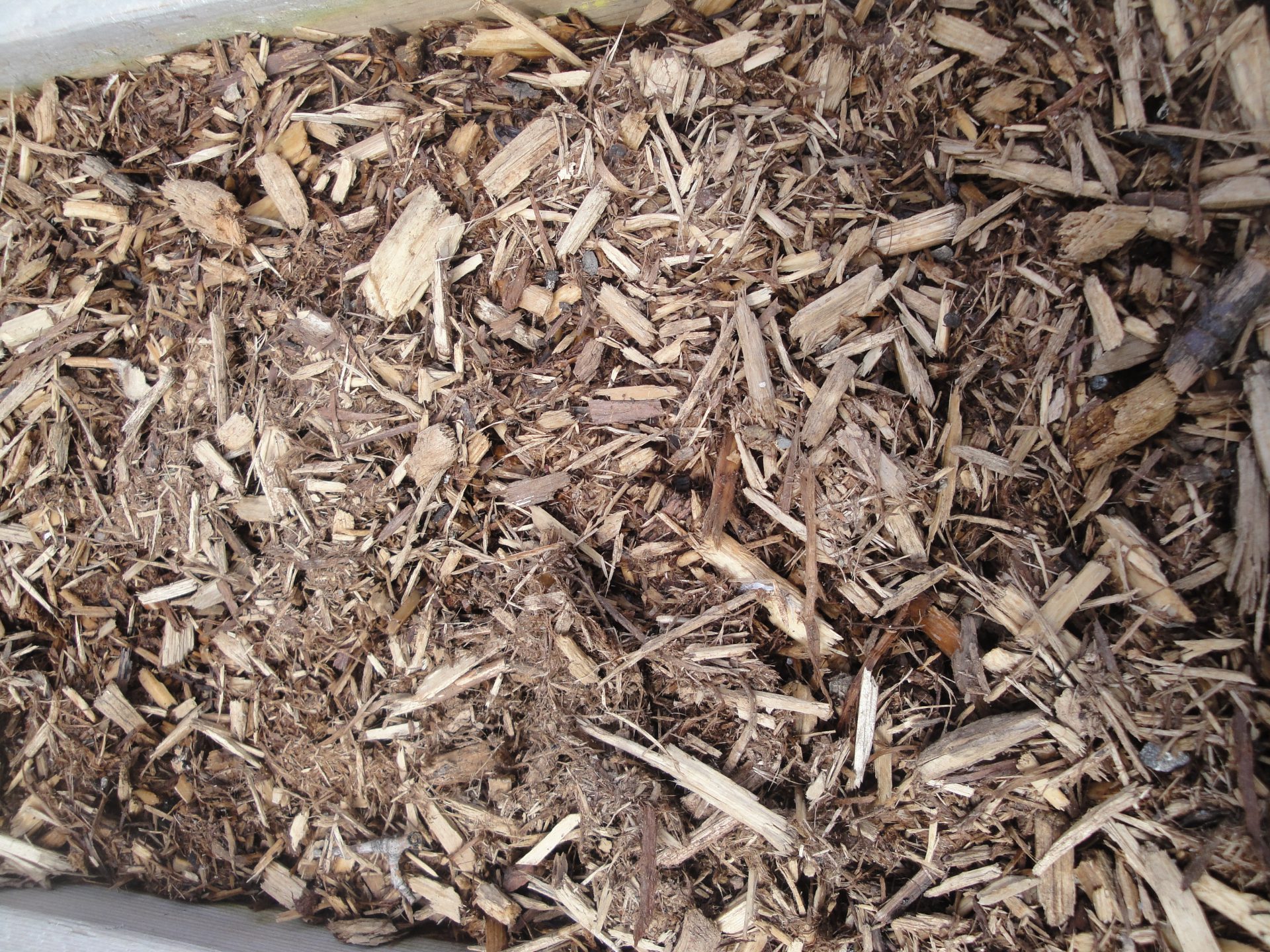Mulching 101 - Sheridan Nurseries